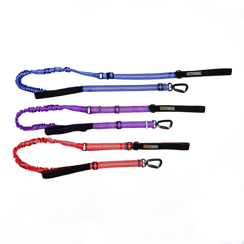 Bungee Dog Lead with Padded Handles | Dog Running Lead — ACTIVEDOG